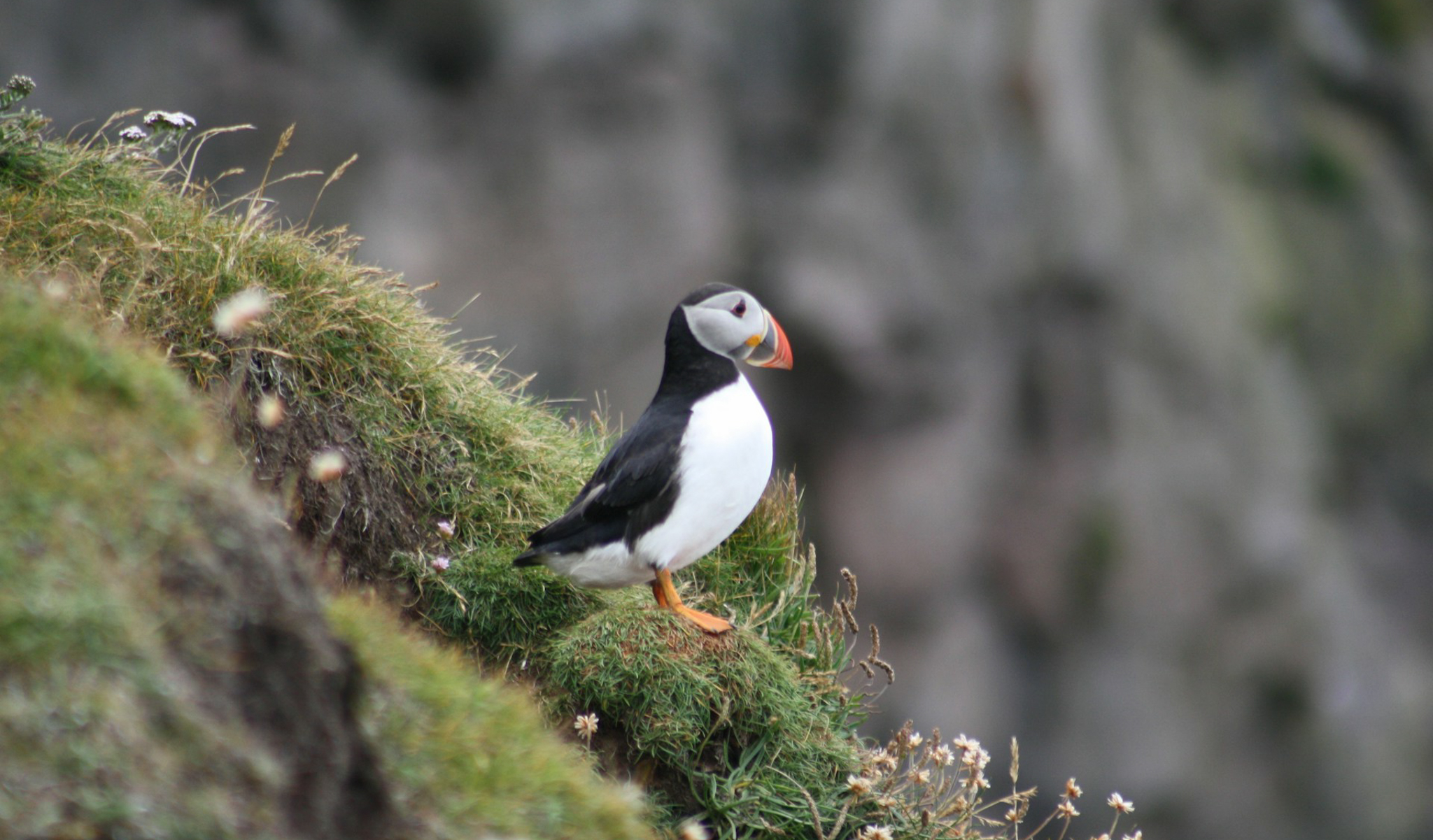 Fly to Faroe Islands | Widerøe